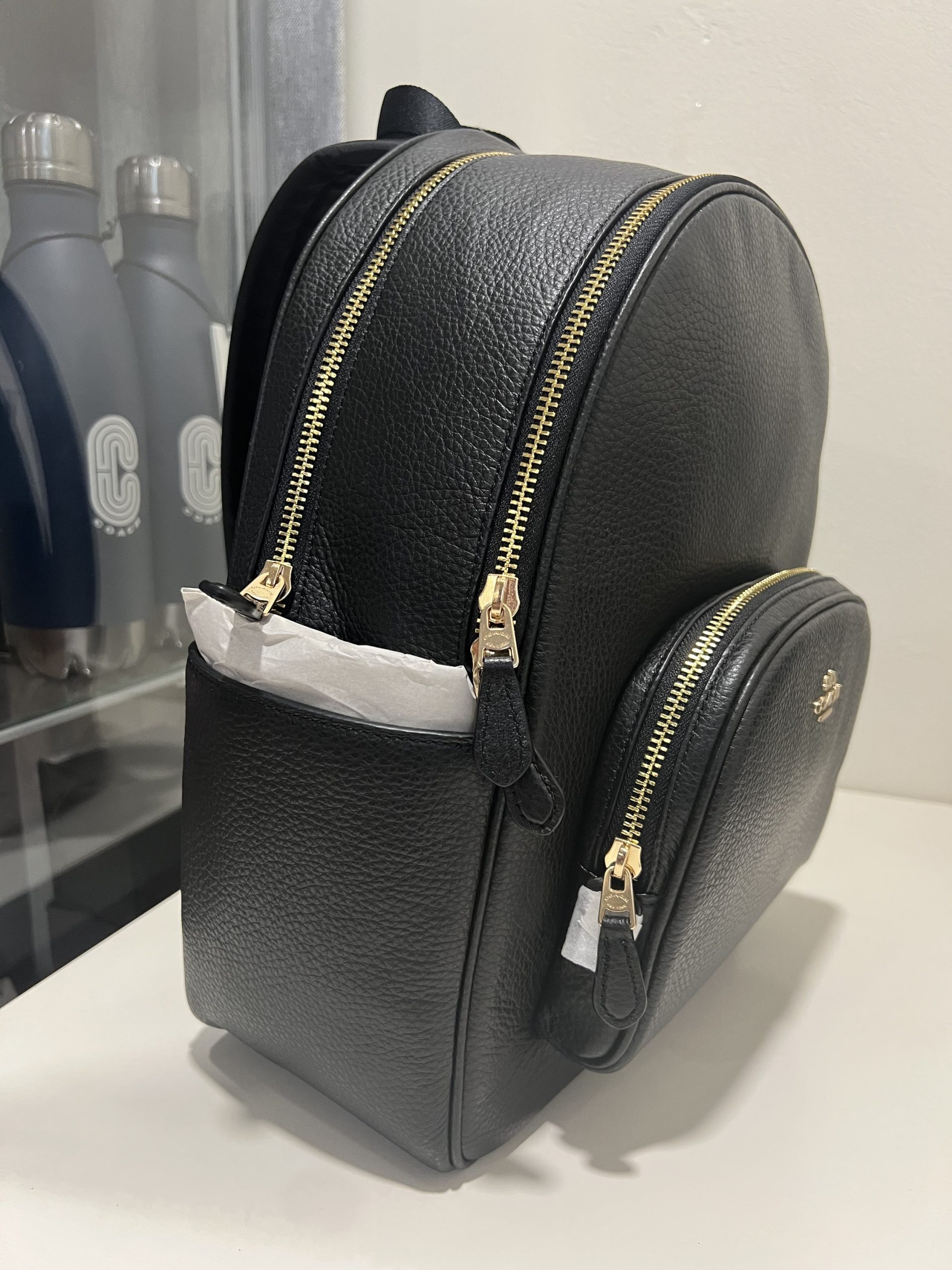 Coach Court Backpack in Black – Exclusively USA