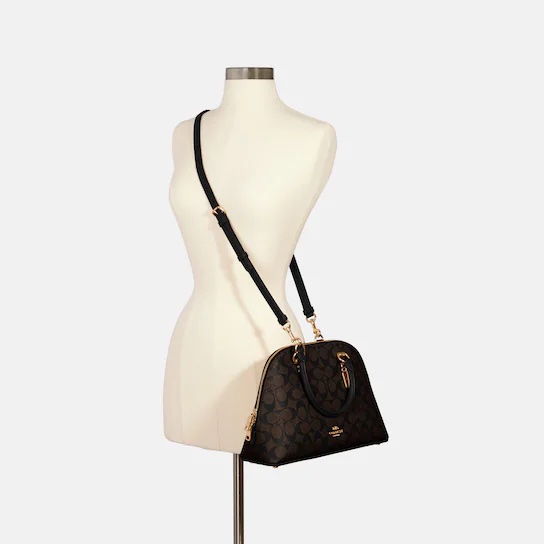 Coach Katy Satchel in Signature Brown – Exclusively USA